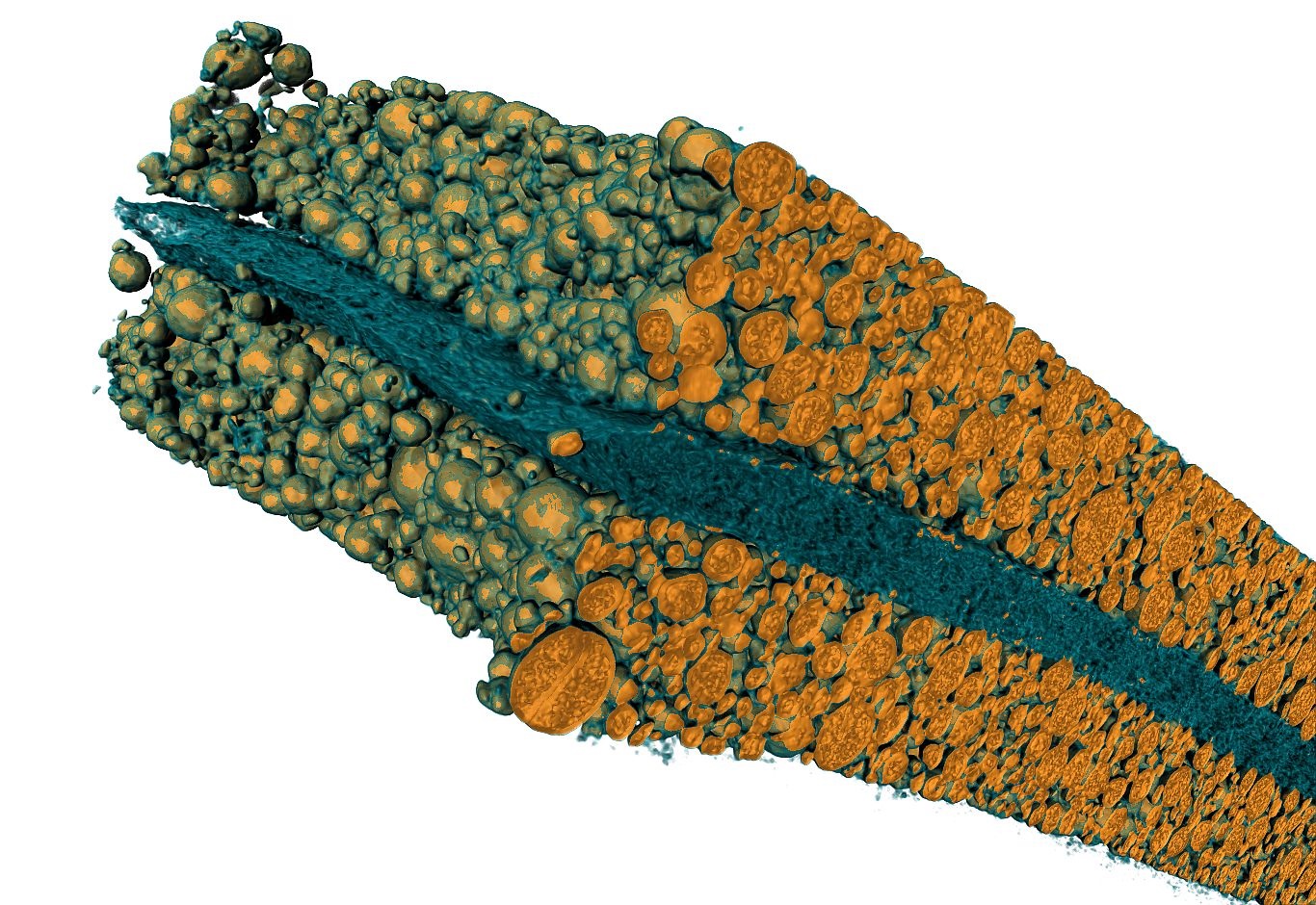 Waygate Technologies Launch Extremely High-Resolution CT System ...